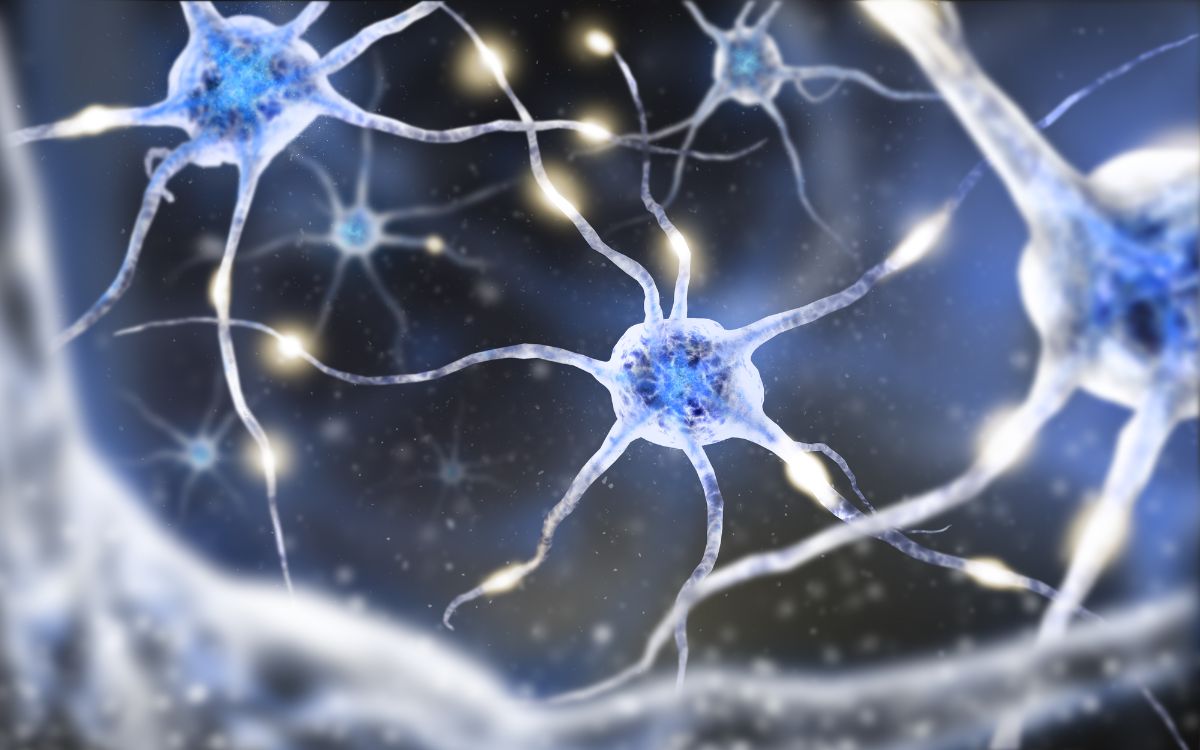 Motgång för antikroppar mot alpha-synuklein vid Parkinson sjukdom ...